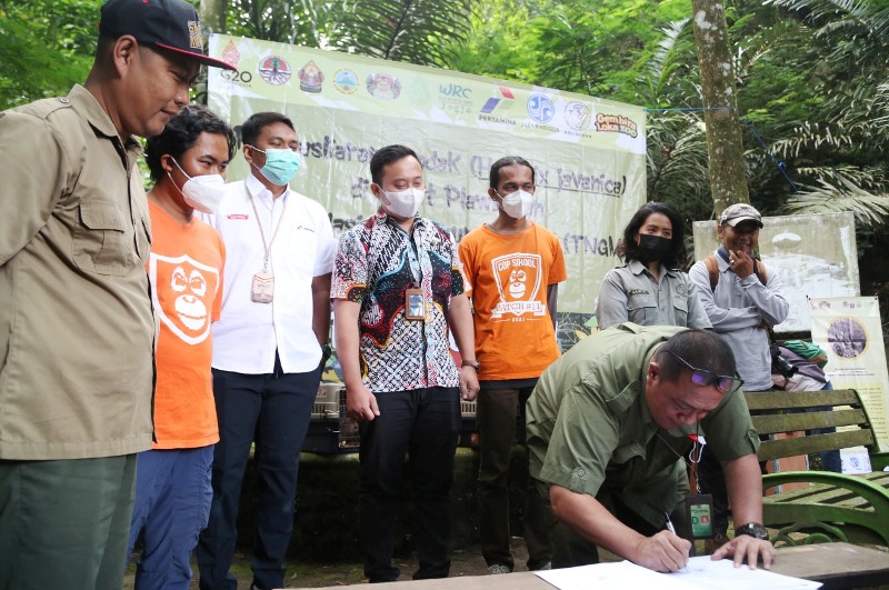 BKSDA Yogyakarta Lepasliarkan Puluhan Landak Jawa | Yogya Pos ...